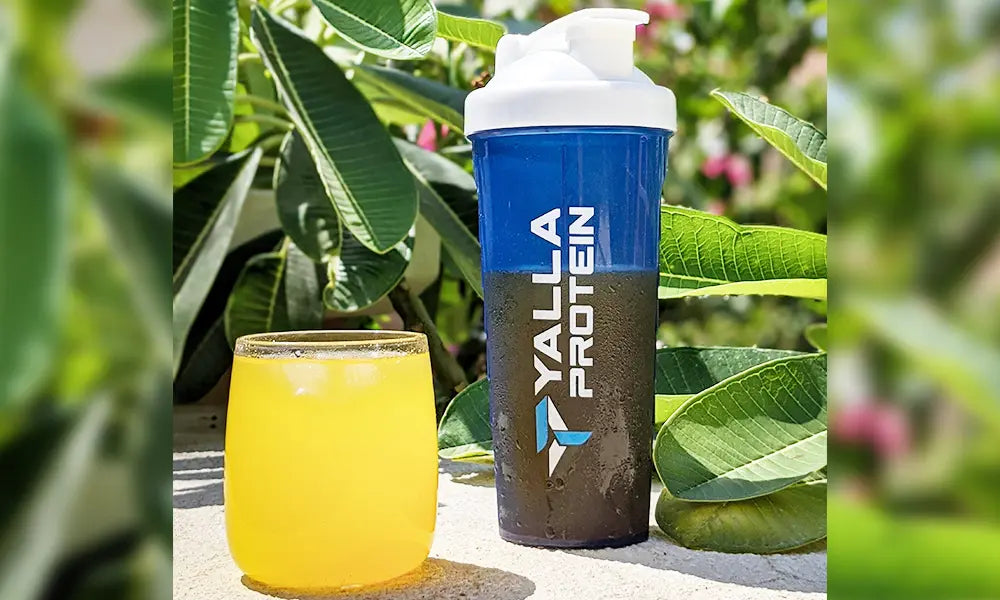 What Are Branch Chain Amino Acids (BCAA's)? – Yalla Protein